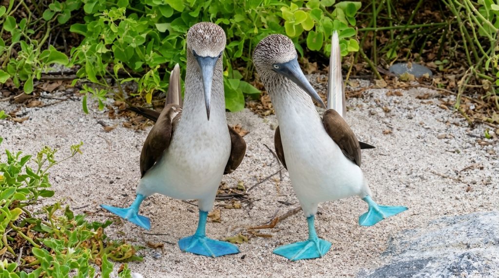 Wildlife Photography Contest Reveals the Side of Nature No One Expects ...