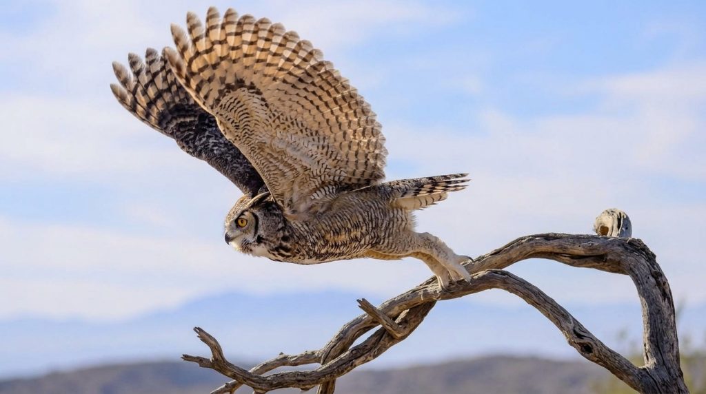 Real Creatures That Convince People They Have Entered a Fairy Tale ...