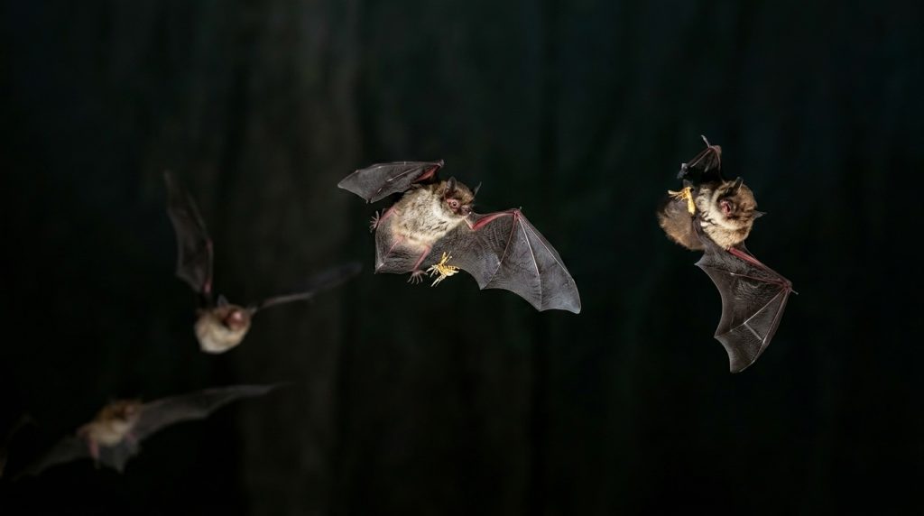 Scientists Discovered Bat Muscles That Move 100 Times Faster Than a ...
